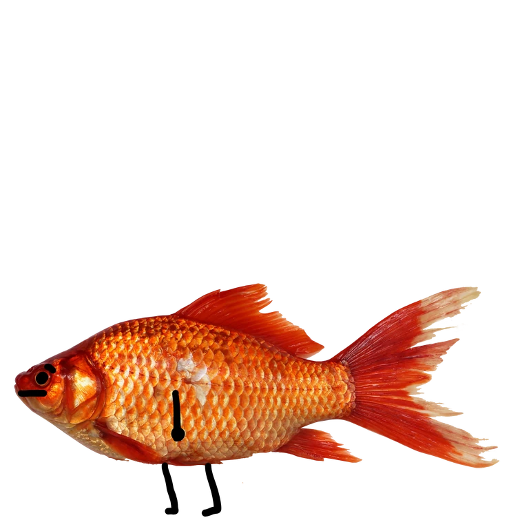 fish tail (oc) | Fandom