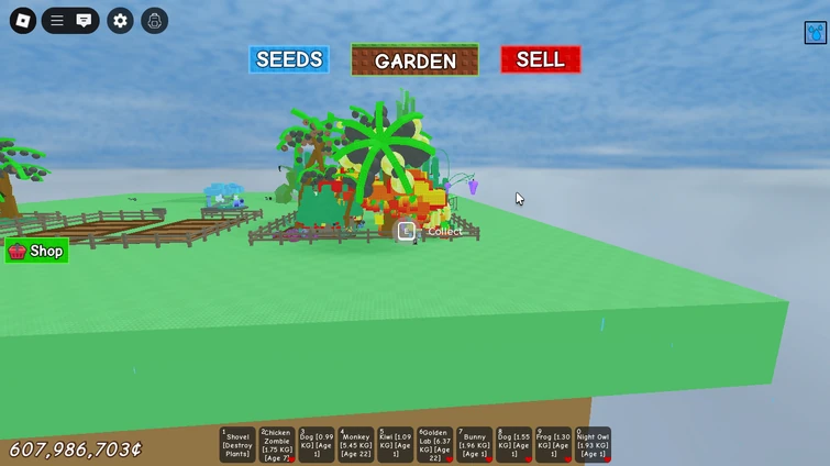 World record coconut | Fandom