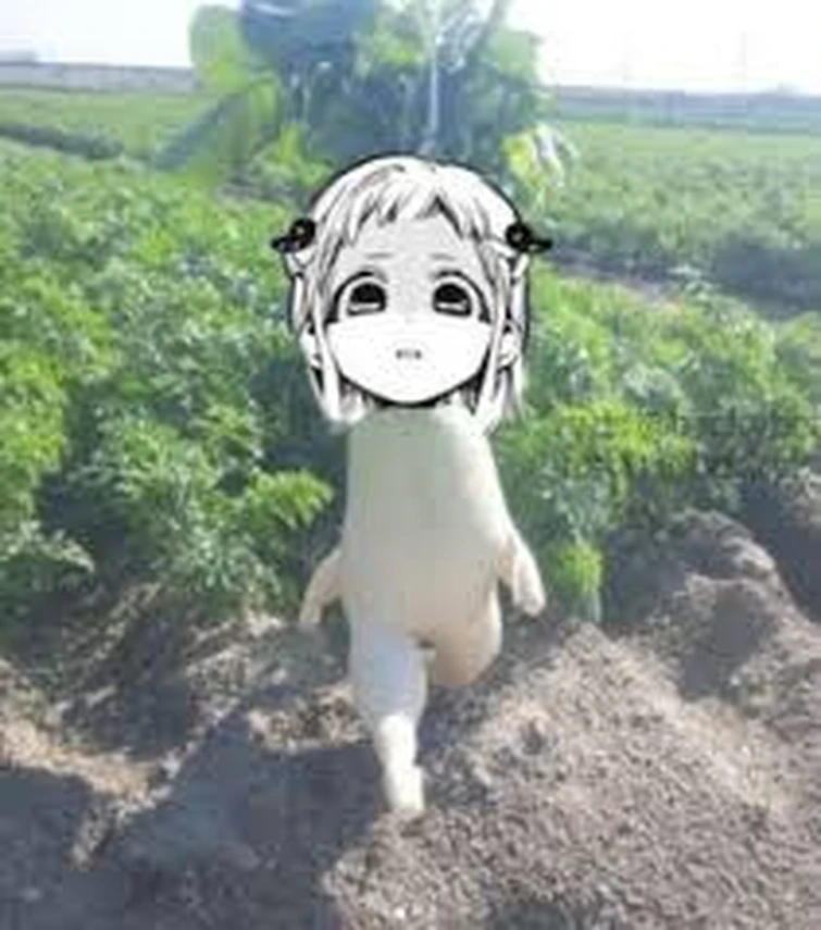 daikon | Fandom