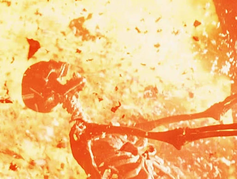 thingy i made earlier 4 Decoyers | Fandom