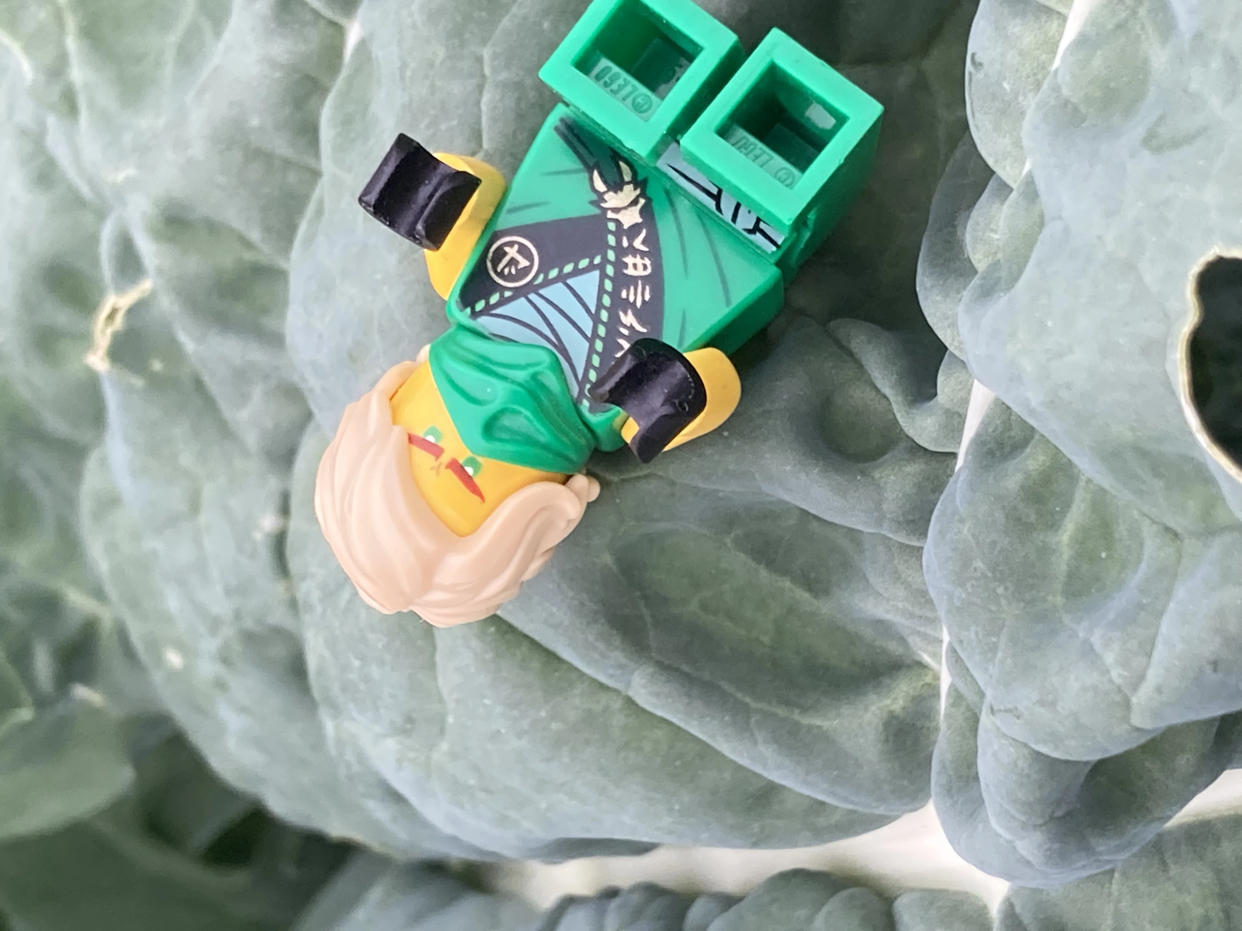 Lloyd photo shoot | Fandom