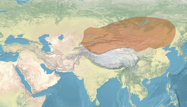 Xiongnu formable suggestion for MONGOLIA🏇🏻🏇🏻🏇🏻🇲🇳🇲🇳🇲🇳🏹🏹🏹 | Fandom