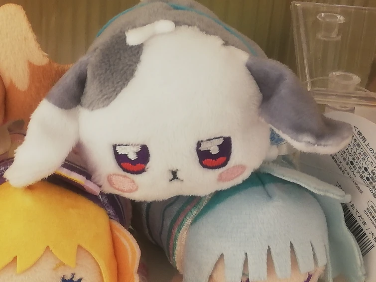 Discuss Everything About Pretty Cure Wiki | Fandom