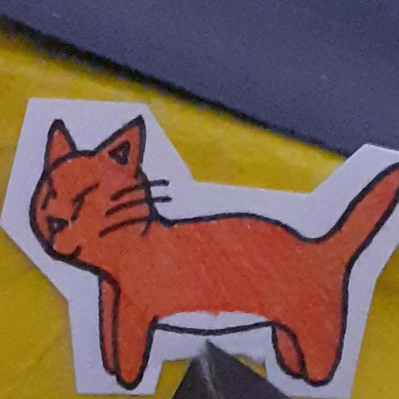 Look at the cat | Fandom