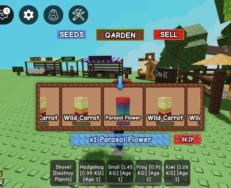 Summer seed packs | Fandom