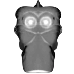 New Nextbot Suggestion | Fandom