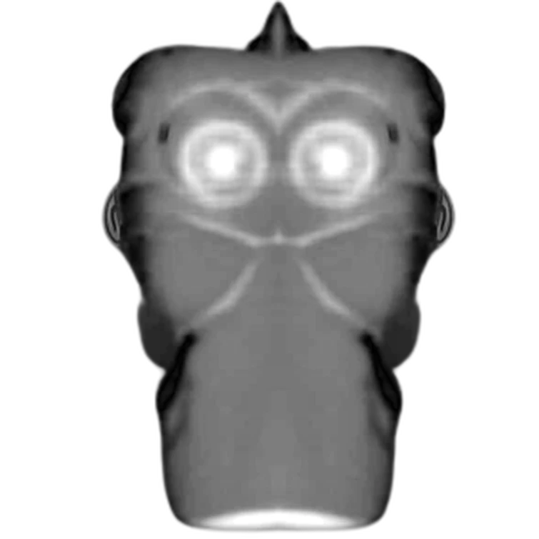 New Nextbot Suggestion | Fandom