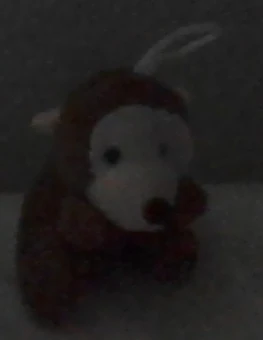 Just monkey. | Fandom