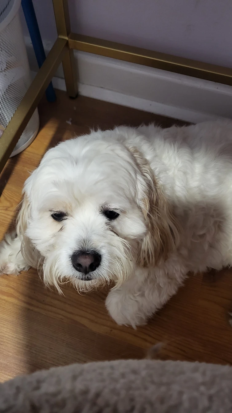 Mathematics vs Sunny. | Fandom