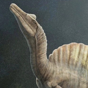 Discuss Everything About Dinopedia | Fandom