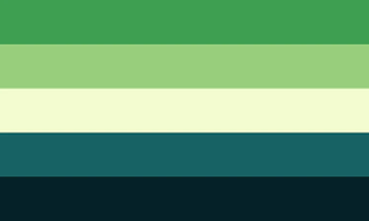 Flag change for aro/ace spectrum pages | Fandom