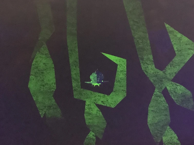 Rando Npc fish photo | Fandom