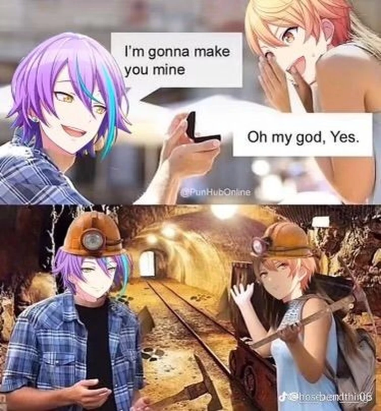 Ruikasa meme | Fandom