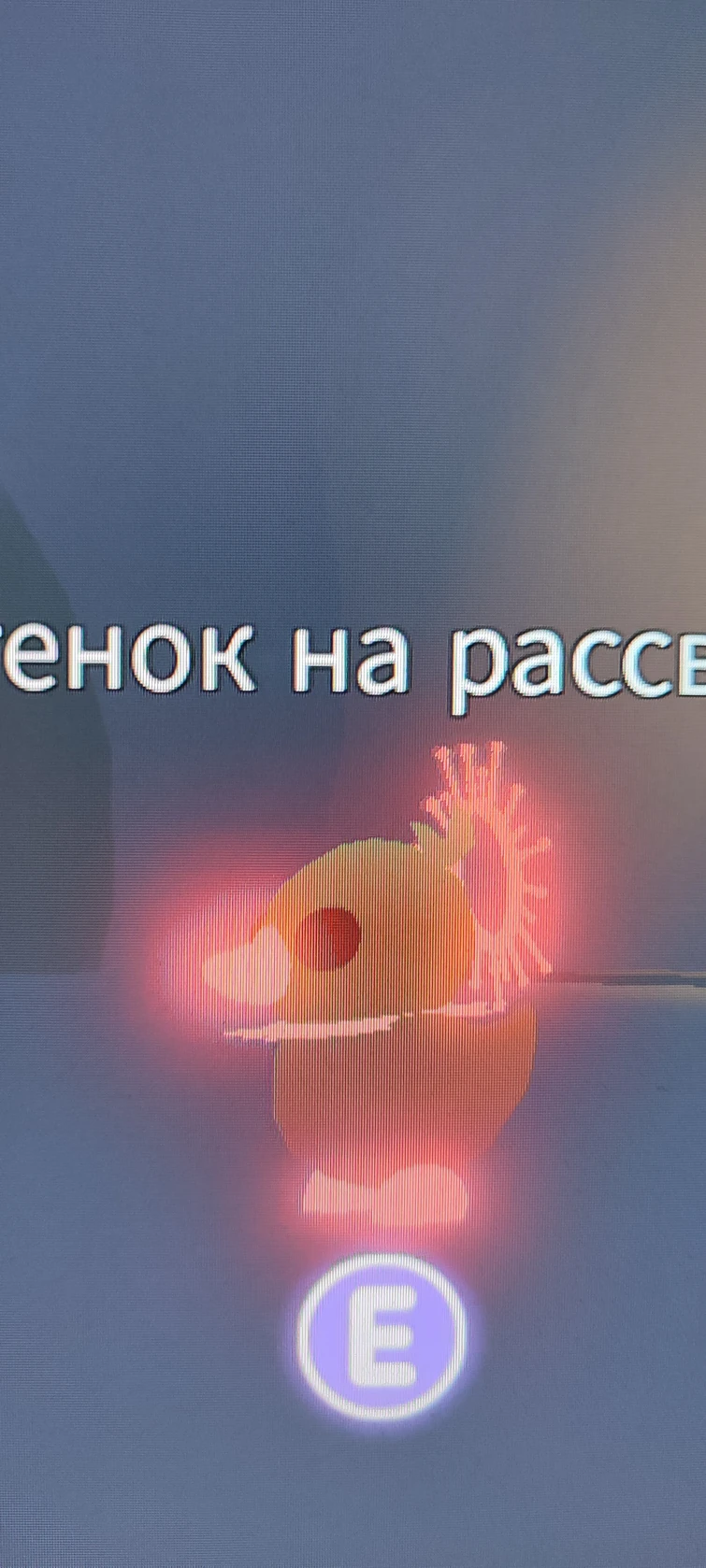 Mega sunrise duckling | Fandom