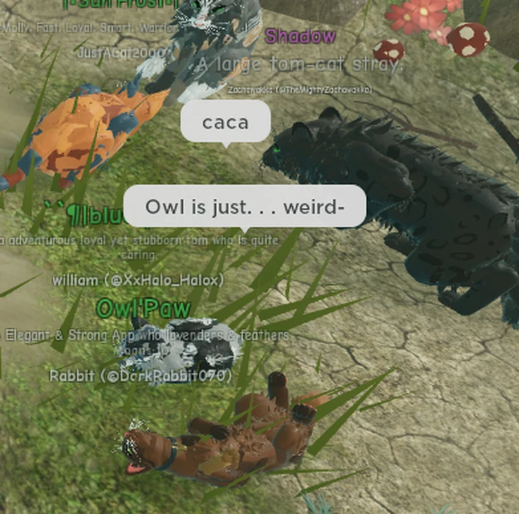 just a regular day in wcue | Fandom