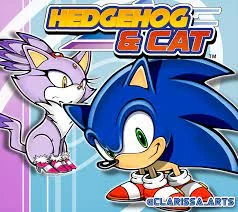 My favourite game, Debut of Cat, the best character in the Hedgehog ...