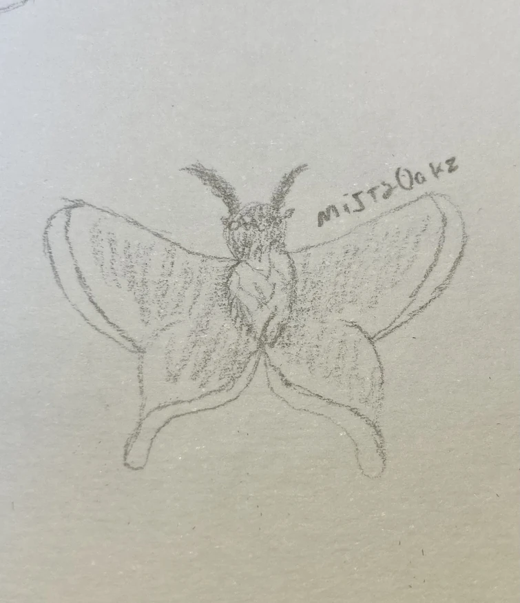 Moths! | Fandom
