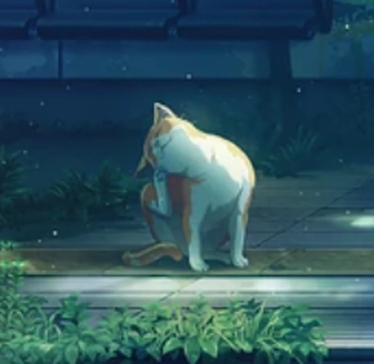 Vbs and cats | Fandom