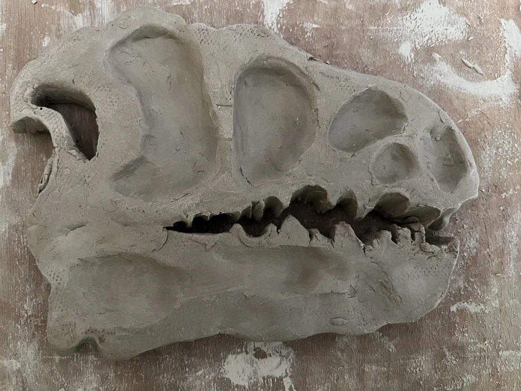 Allosaurus Skull Sculpture (TW: Clay Skull) | Fandom
