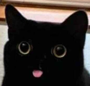 [DBCB] Yummy Time! | Fandom