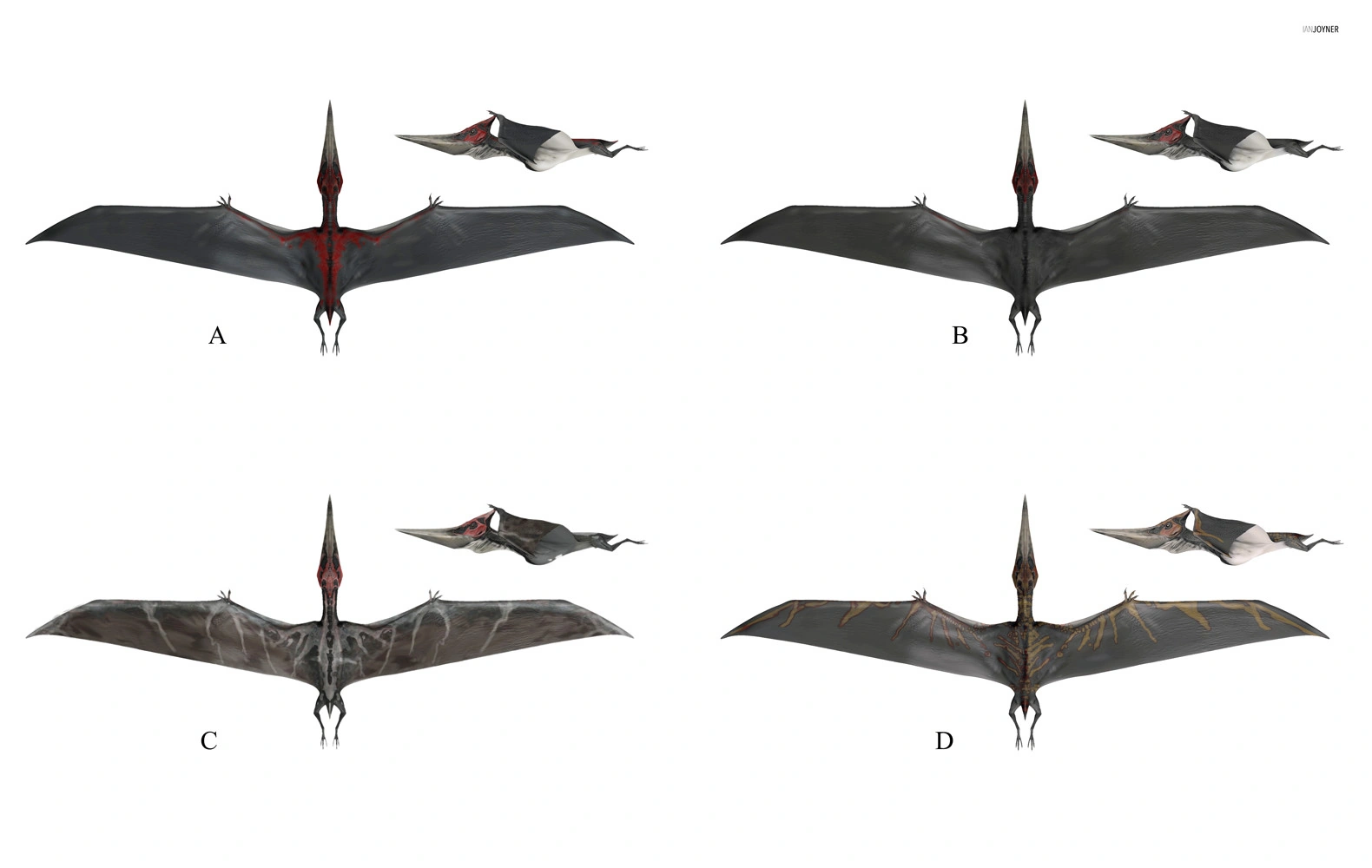 JW Pteranodon Variants | Fandom