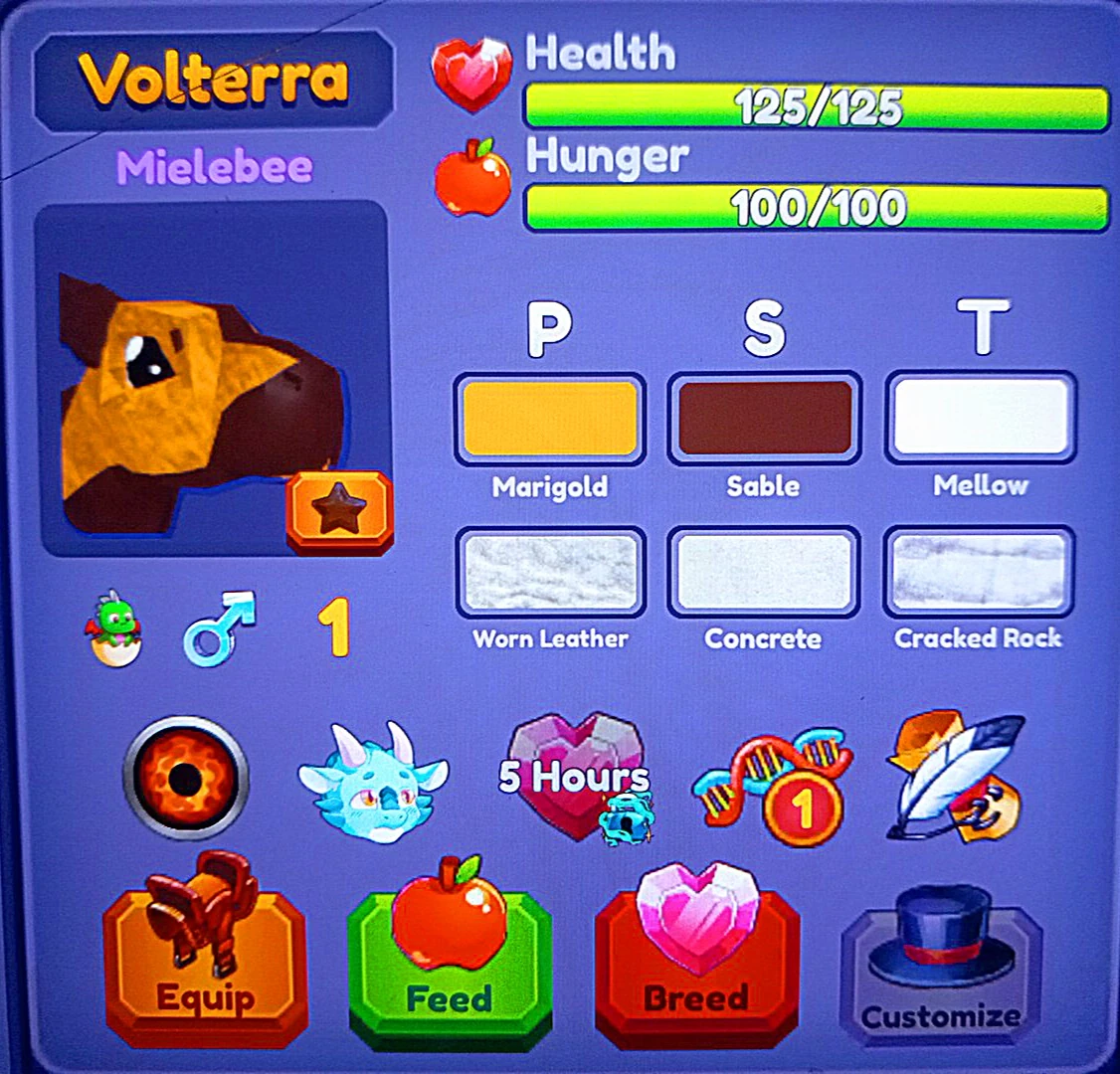 I got another bee! | Fandom