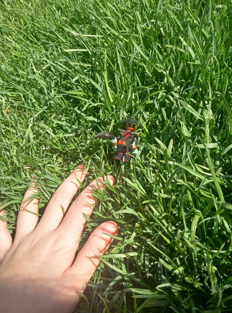 Touch grass challenge | Fandom