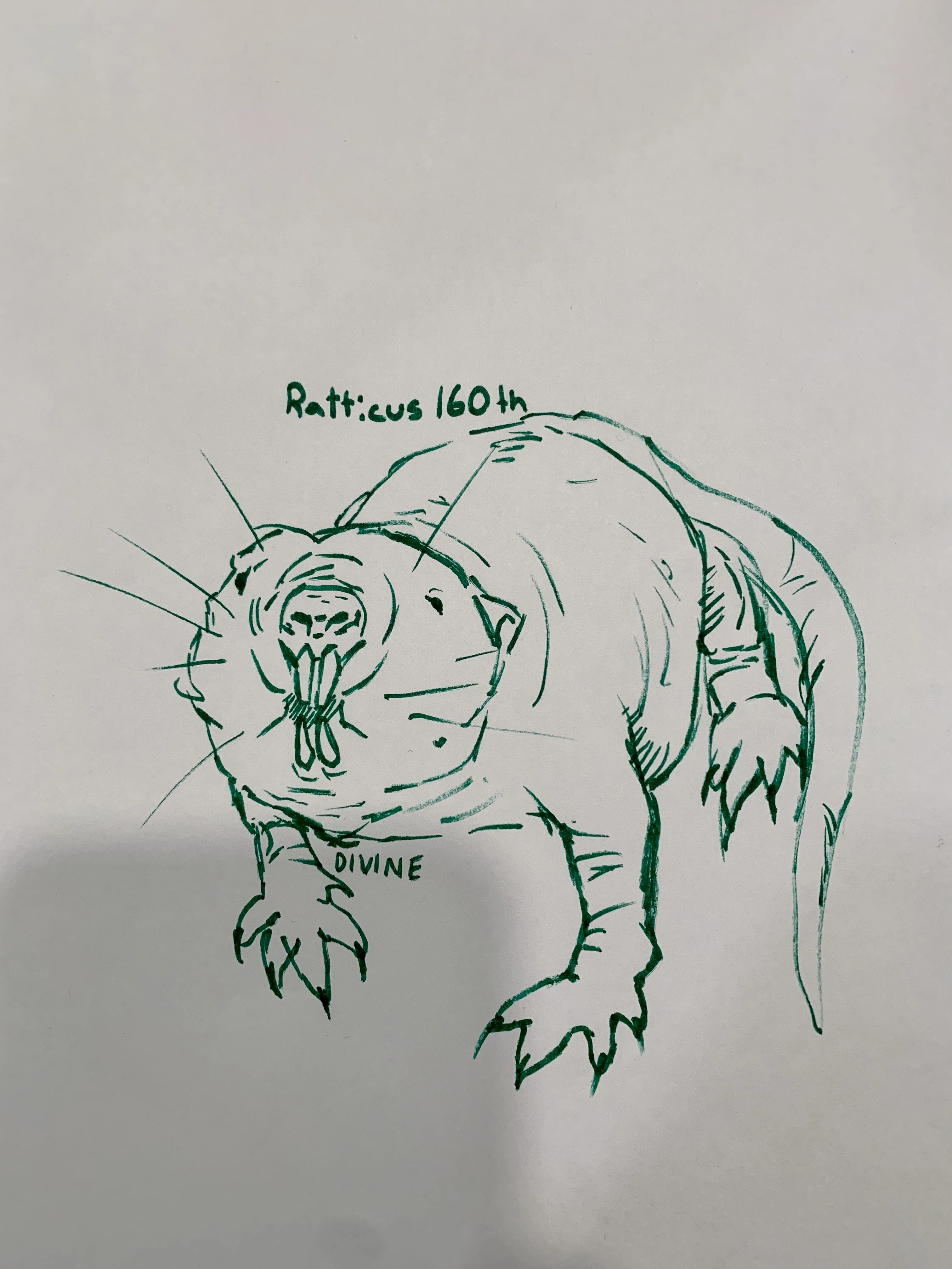 The great Ratticus the 160th || traditional ort | Fandom