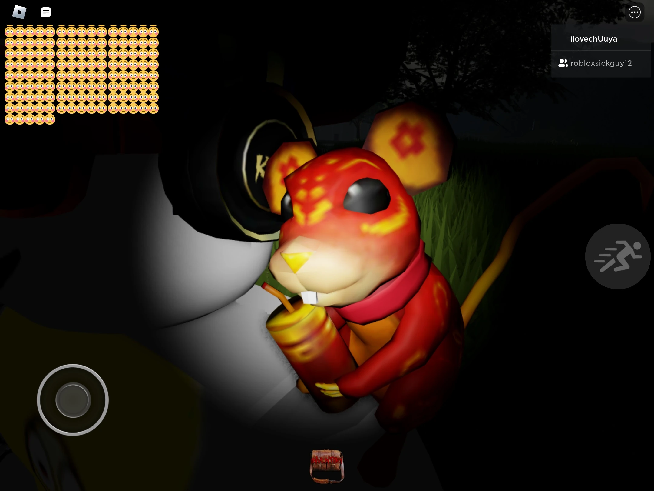 more rat photos | Fandom