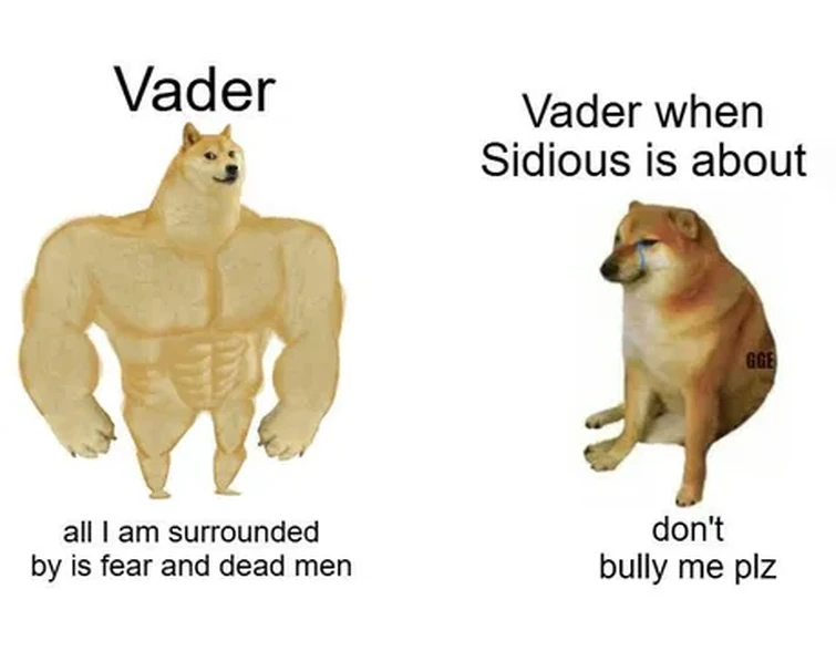 🤣[Meme of the Week Contest] Round 229! | Fandom