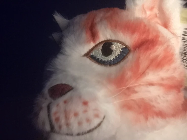 SHES HERE 🎉🎉🎉 | Fandom