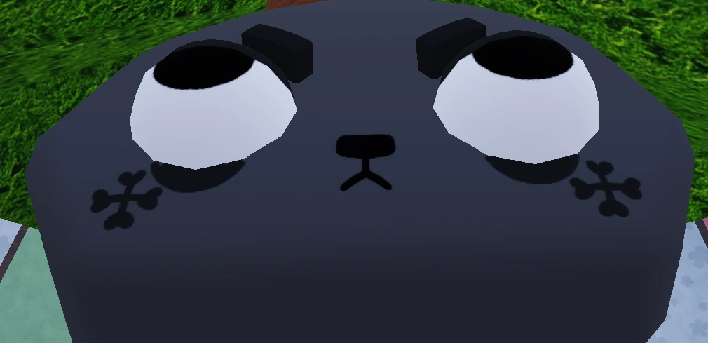 I bought Coal | Fandom