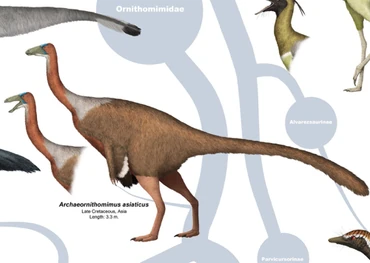 Discuss Everything About Dinopedia | Fandom