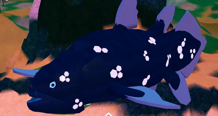 can i have photos of the old fish | Fandom