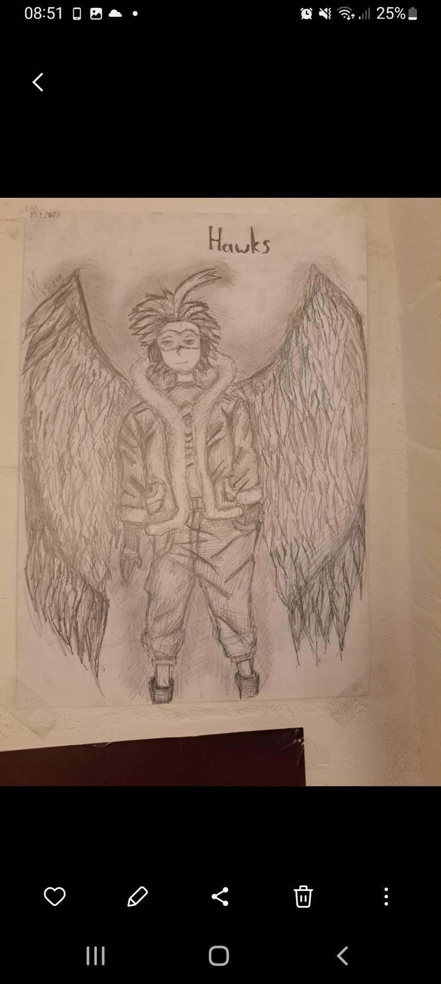 Hawks 💖💖 | Fandom