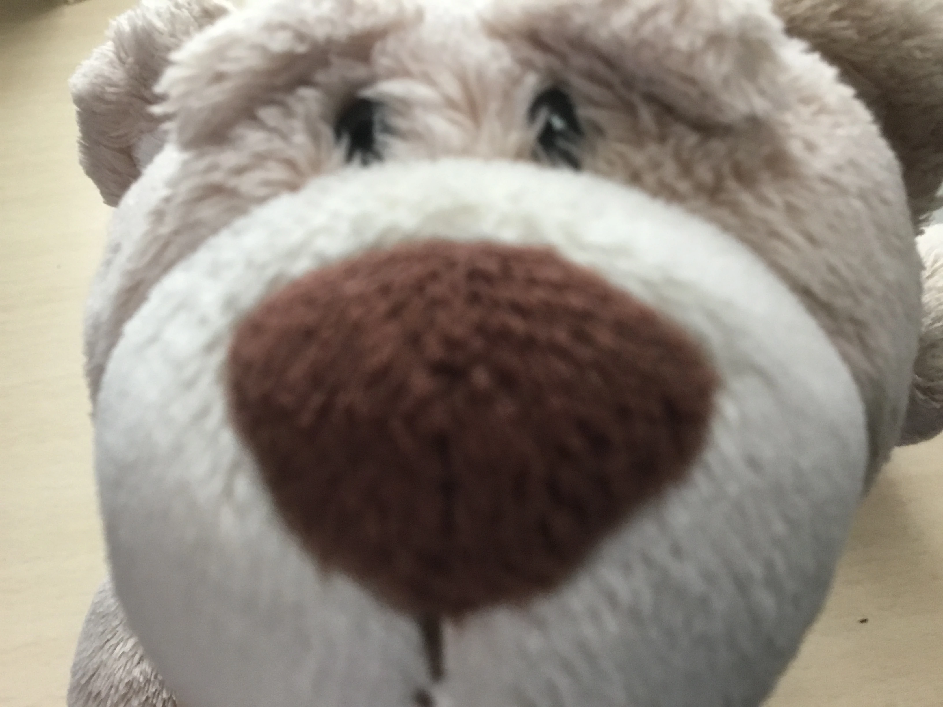 Da boi knows what ur up to…. | Fandom