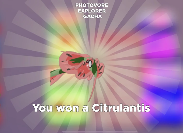 Mm, watermelon giraffe | Fandom