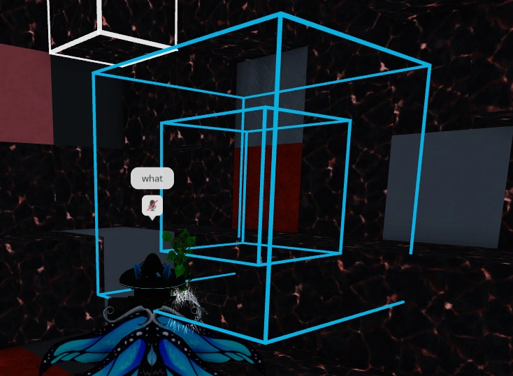 Bug? First ever found? | Fandom