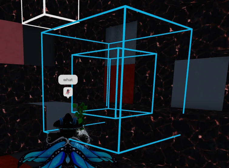 Bug? First ever found? | Fandom