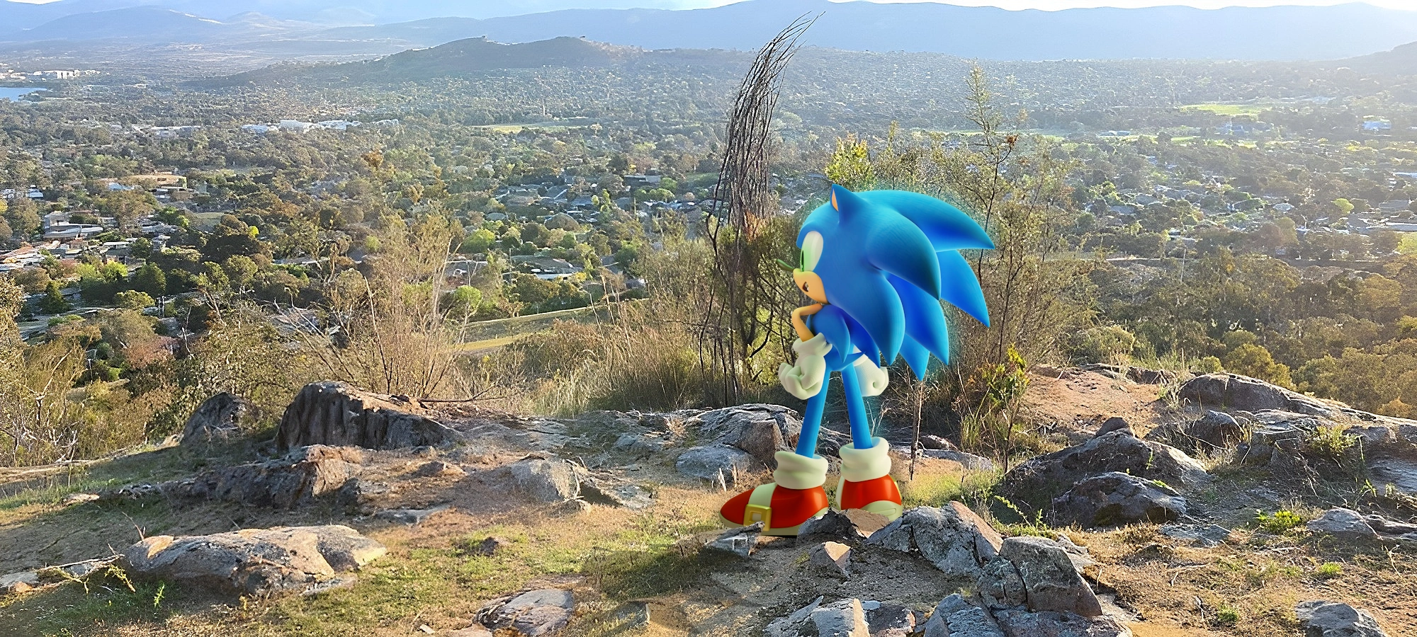 Sonic render | Fandom
