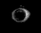eye asset | Fandom