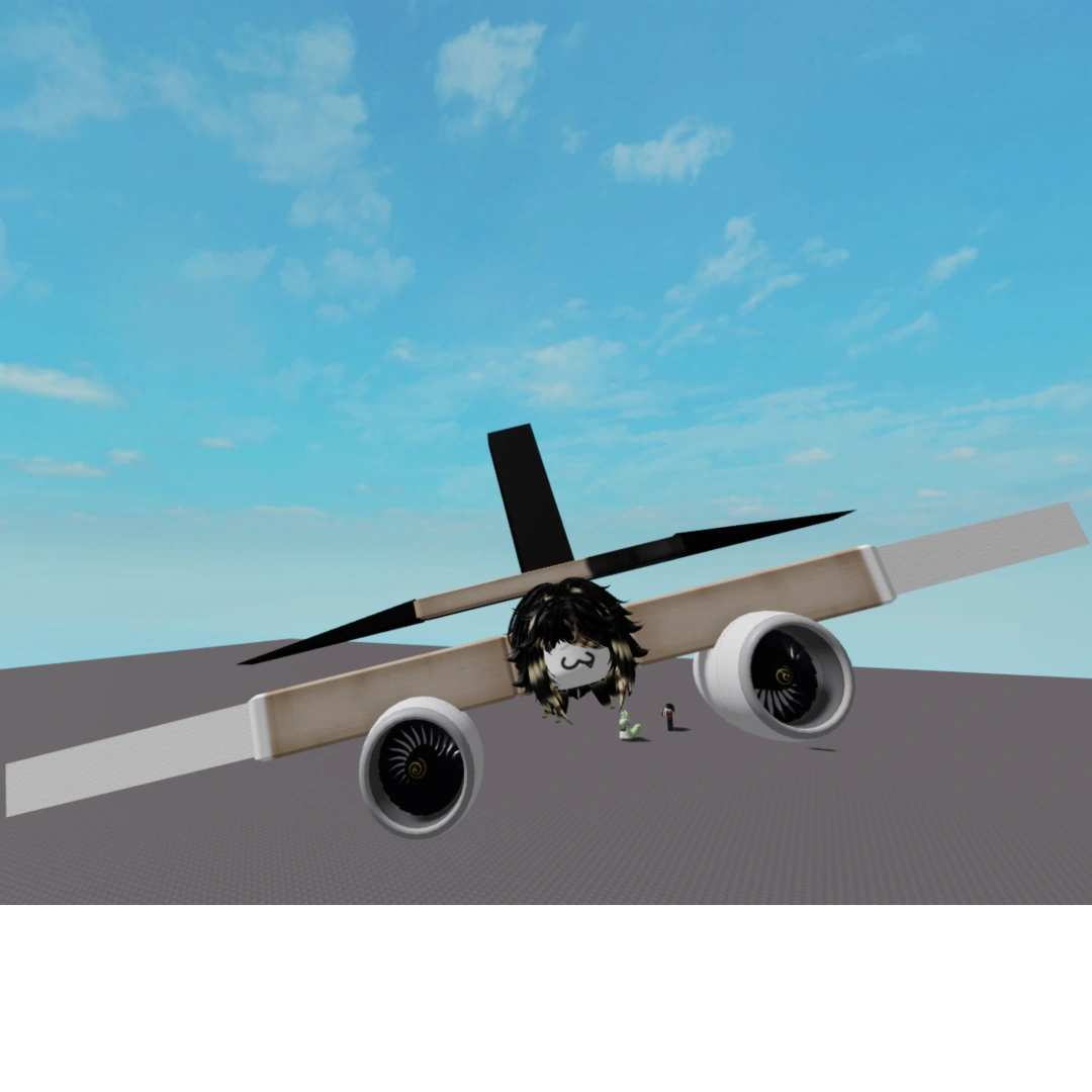 Turned Coco Into a Plane :) | Fandom