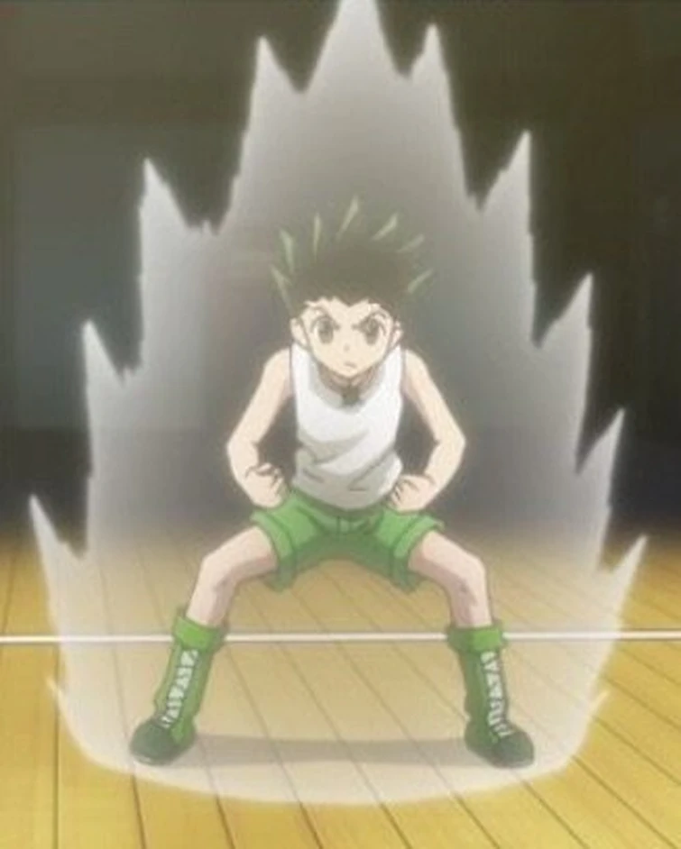 (pls dont shoot) The Gon Experienece | Fandom