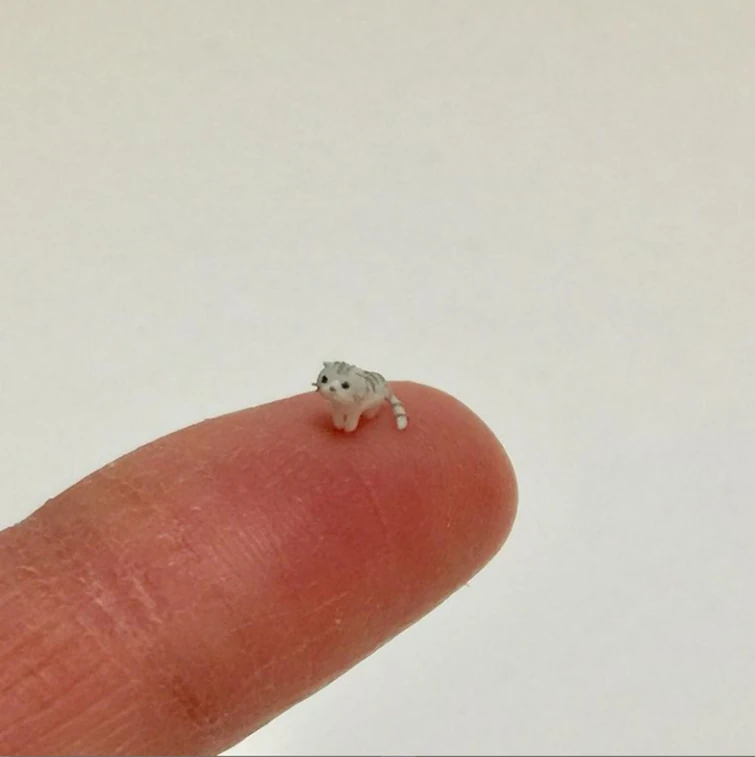 smallest creature ever recorded | Fandom