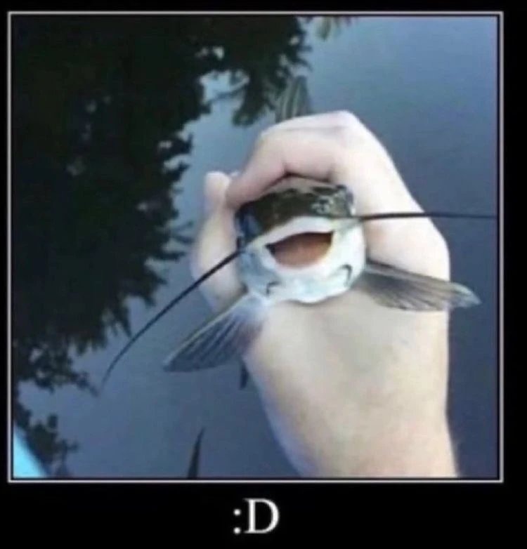 hello every1 | Fandom