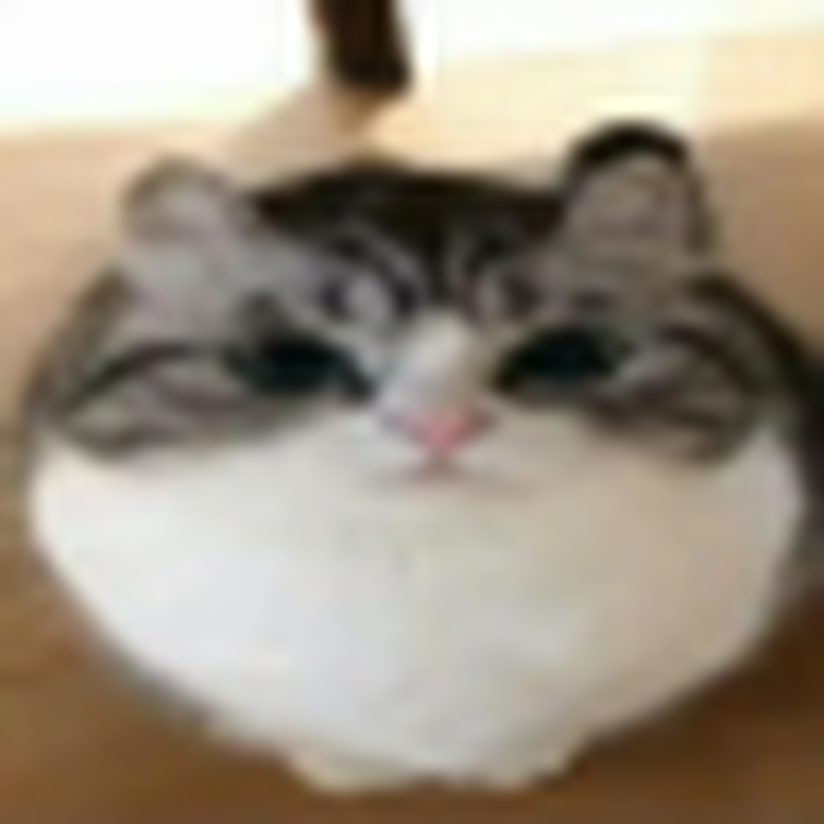 ABC for alpha protects kitten run!!! | Fandom