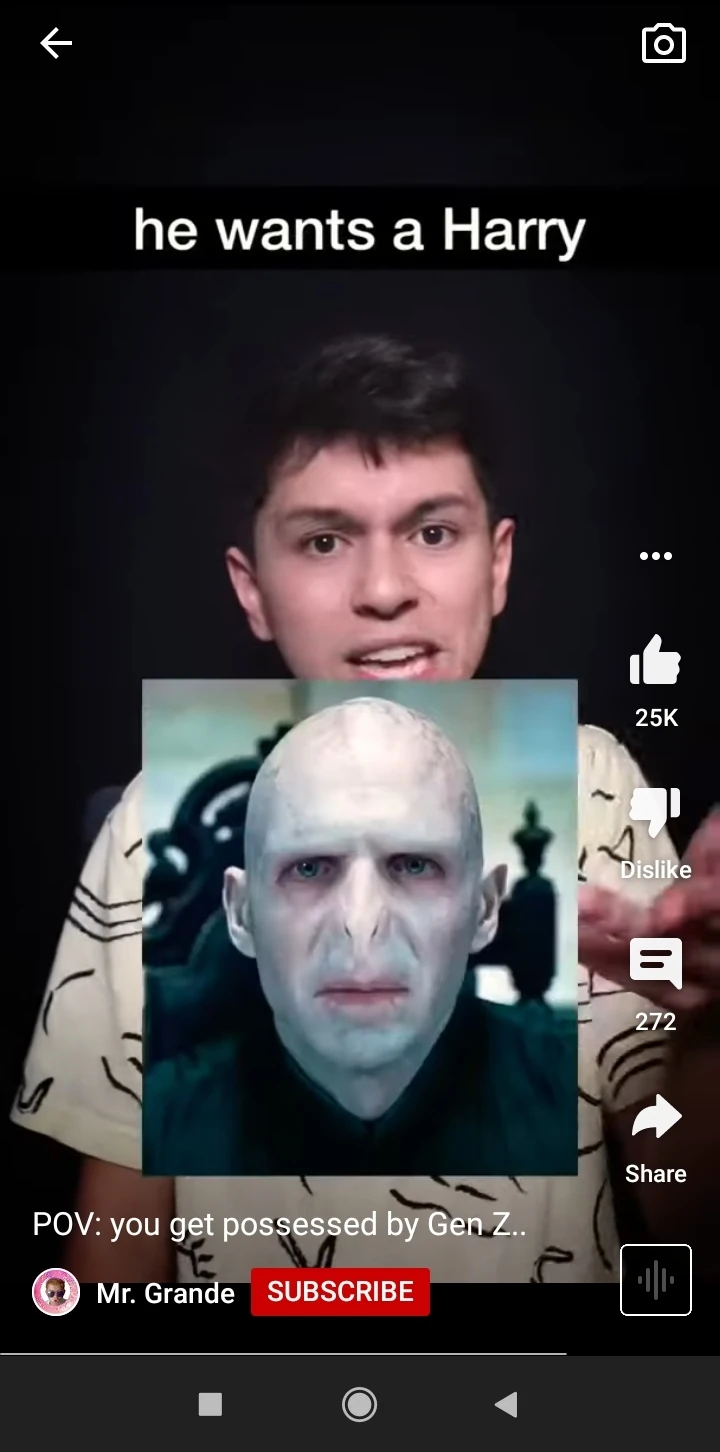 ah yes, another Voldemort meme | Fandom