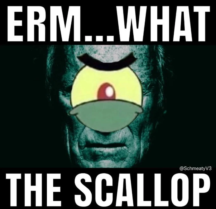 What The Scallop!? | Fandom