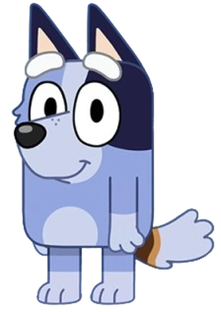 Socks Heeler | Fandom
