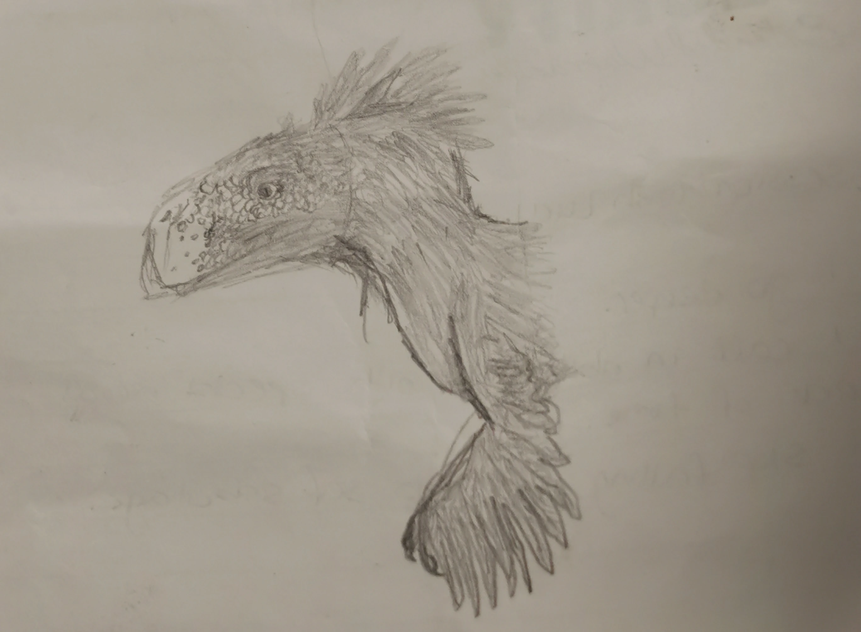 Multiple Utahraptor sketches | Fandom